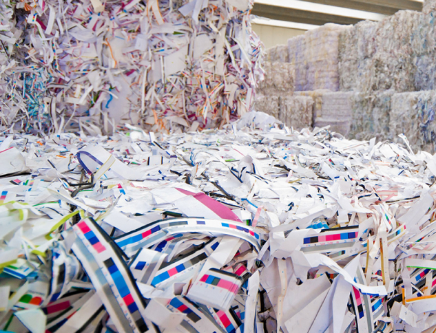 Environmental Focus | Premier Print Group